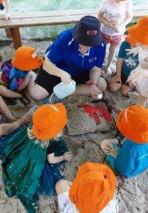 Early Years Learning Framework Program | Play and Learn